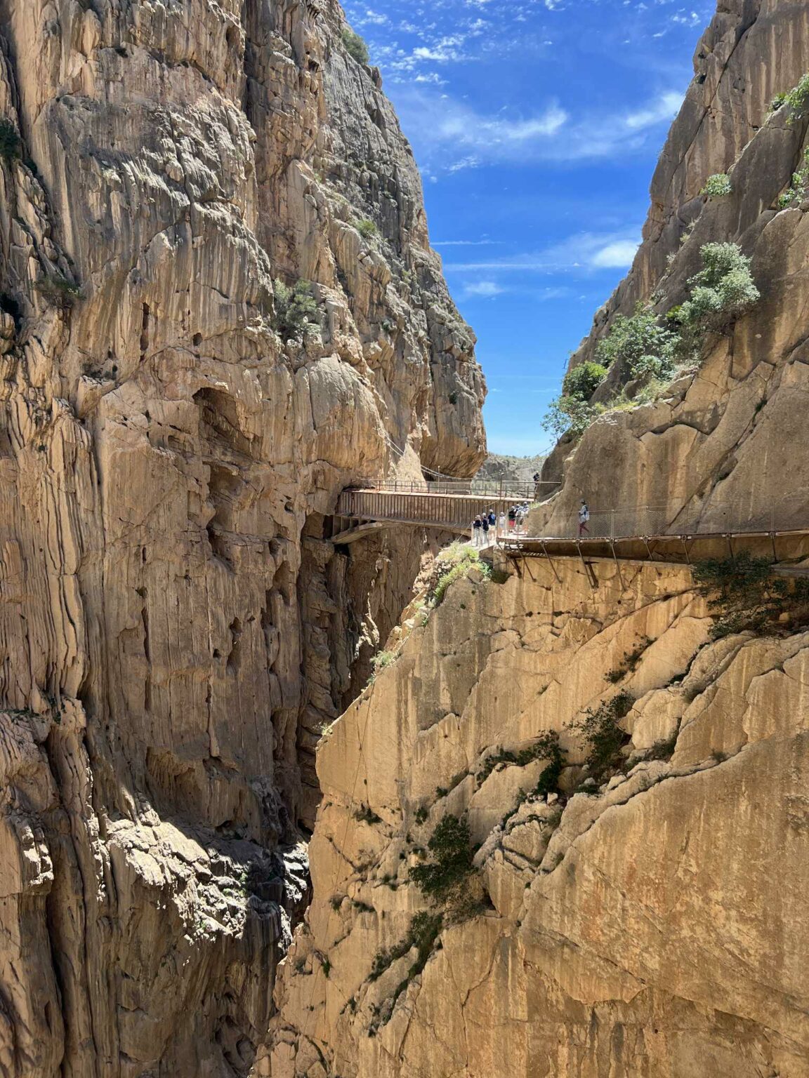 Se rendre sur le Caminito del Rey : guide COMPLET + conseils
